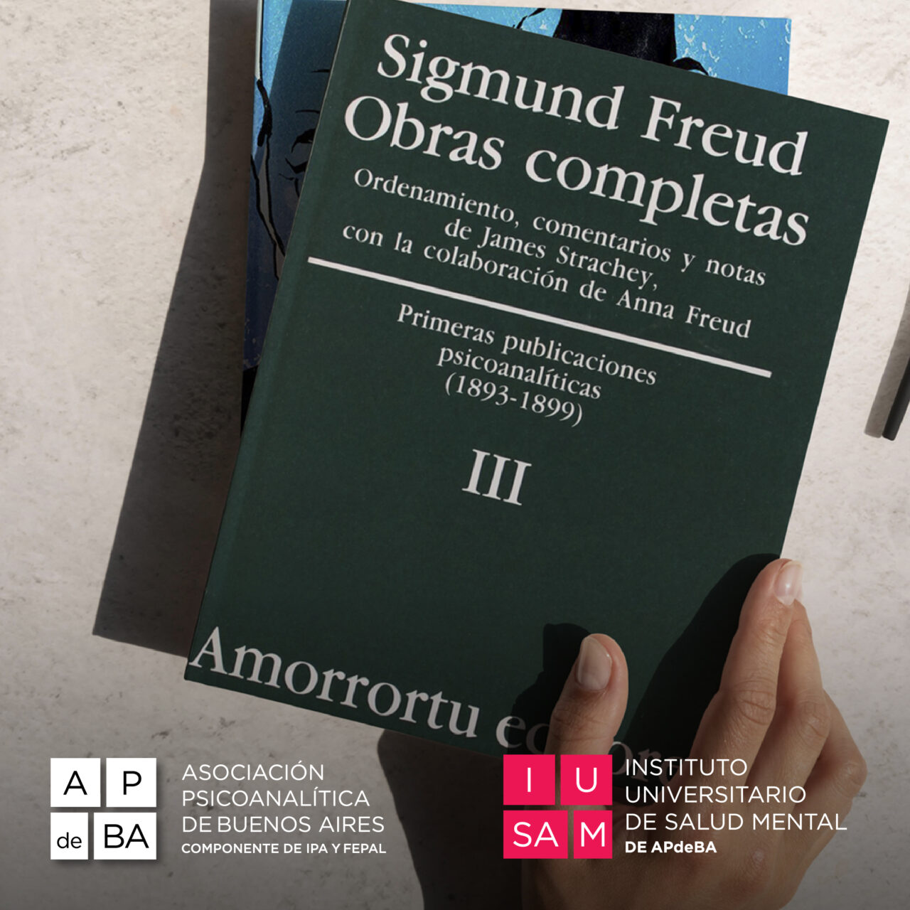 IUSAM | Instituto Universitario de Salud Mental